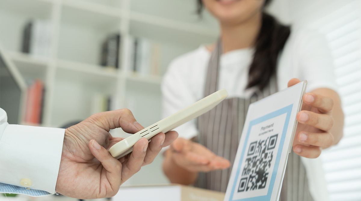 Fast payments: design and adoption