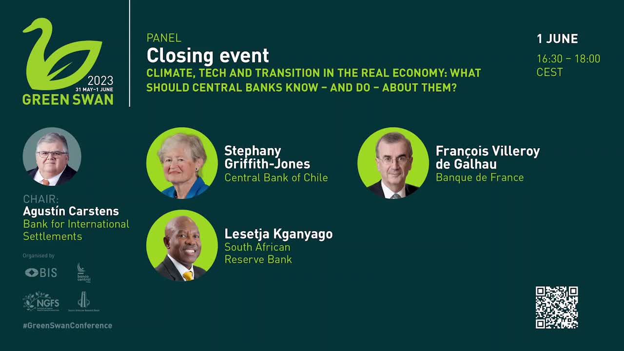 Green Swan 2023: Climate transition in the real economy: what should ...