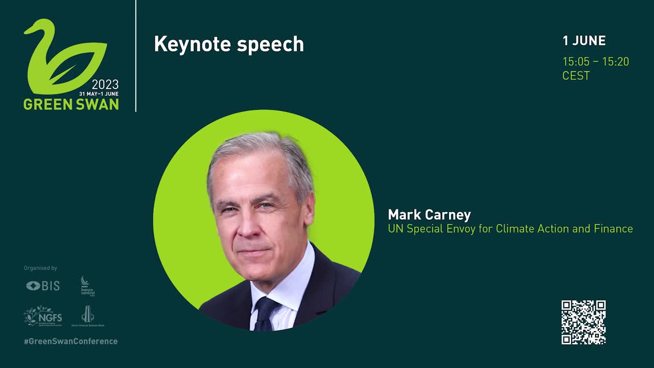 Green Swan 2023: Climate transition in the real economy: what should ...