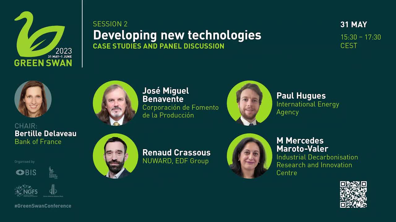 Green Swan 2023: Climate transition in the real economy: what should central banks know about it?