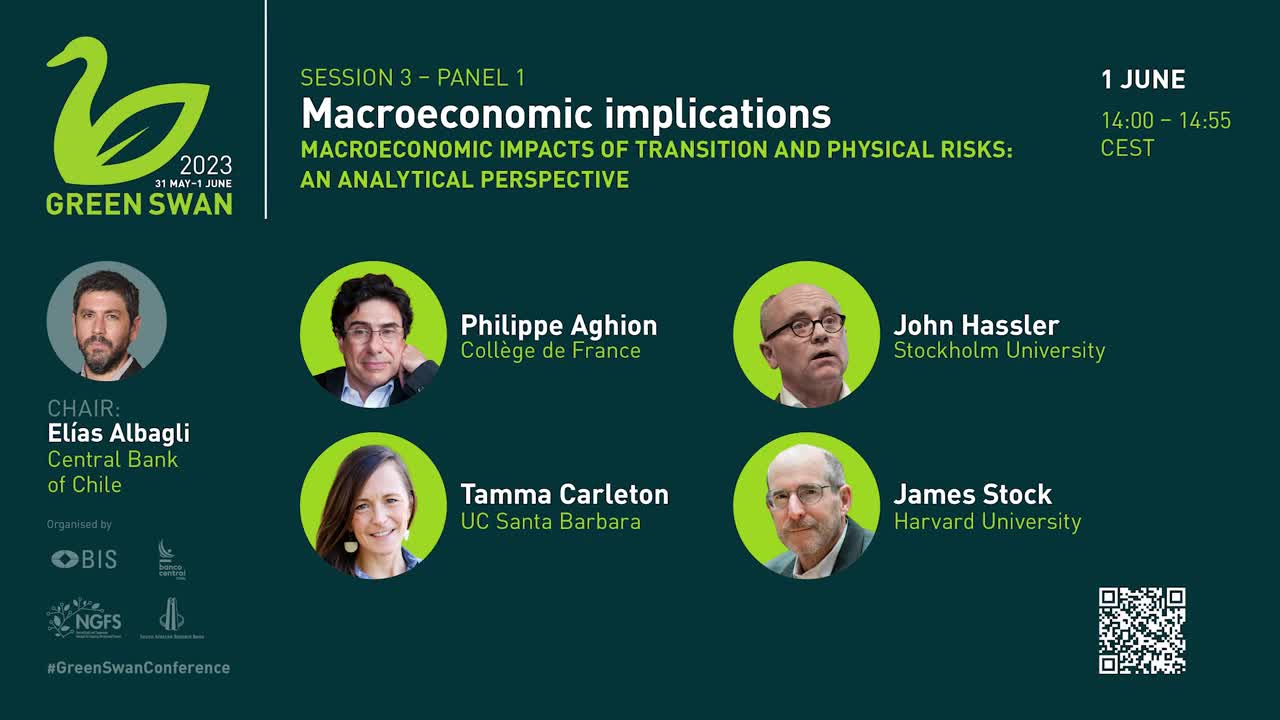 Green Swan 2023: Climate transition in the real economy: what should ...